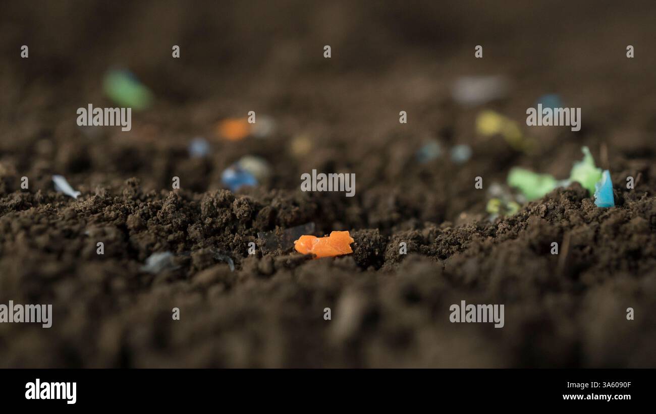 MIcro plastic waste contamination in the agricultural field ...
