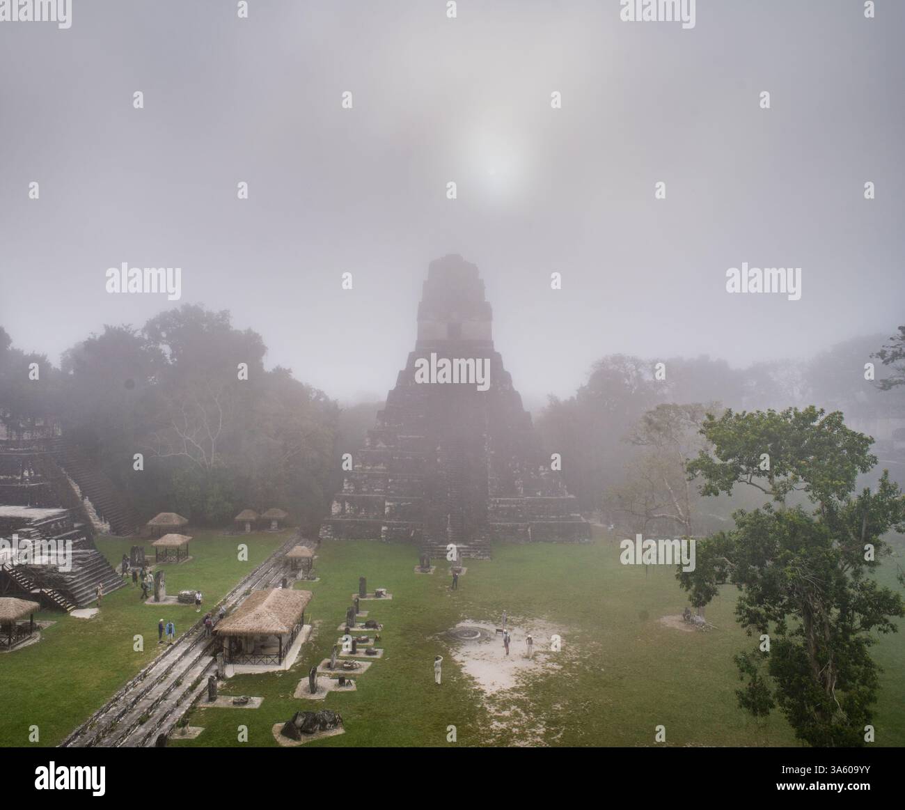 Altar El Gran Jaguar in Tikal, Peten, Guatemala Stock Photo - Alamy