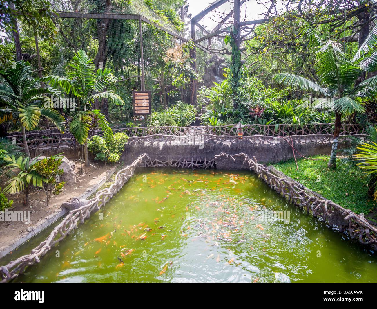 Aurora zoo hi-res stock photography and images - Alamy