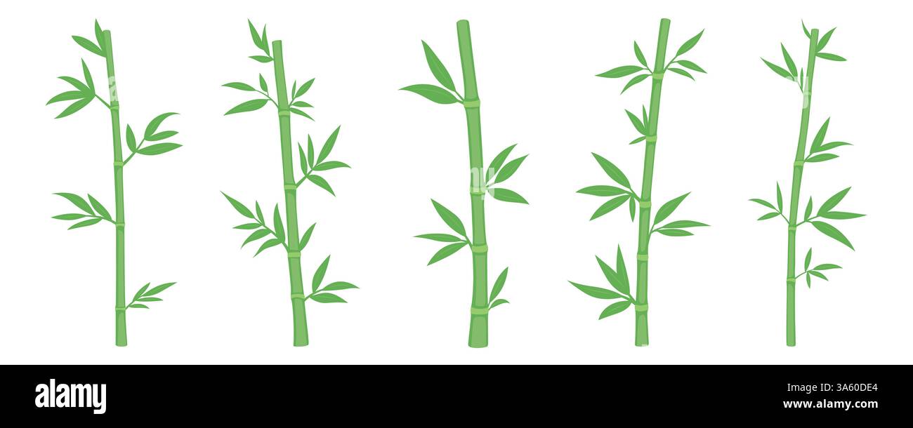 Cartoon Vector Green Bamboo Stalks with Leaves Set. Asian Tropical ...