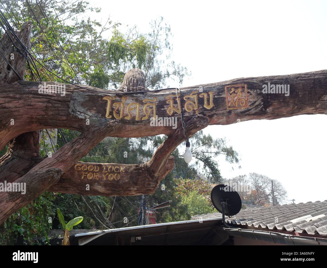 RECORD DATE NOT STATED Wat Tham Khao Tao, Tempel, Hua Hin, Thailand ...