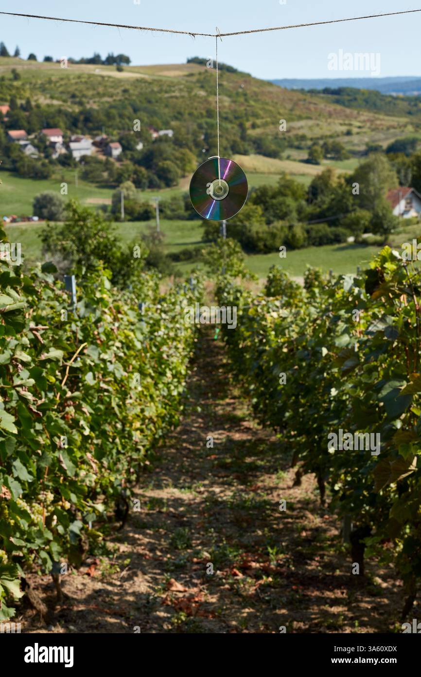 Digital vs organic hi-res stock photography and images - Alamy