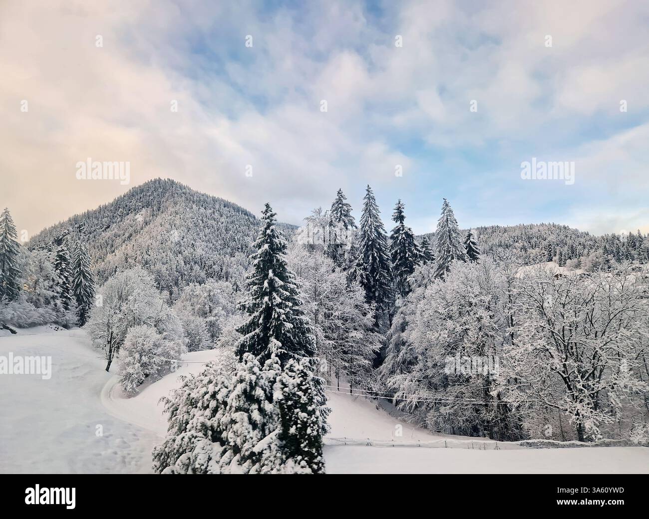 Fir covered hills smartphone stock photos and images - Alamy