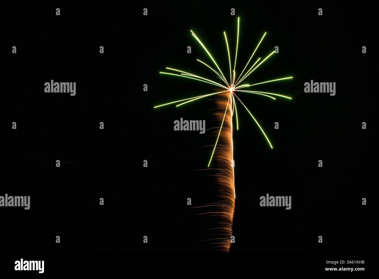 Colorful fireworks celebrate independence on the Fourth of July. Palm ...