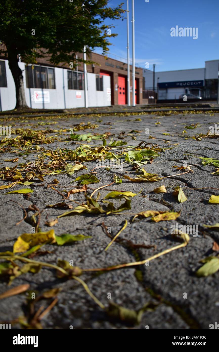 Car ground level view hi-res stock photography and images - Alamy
