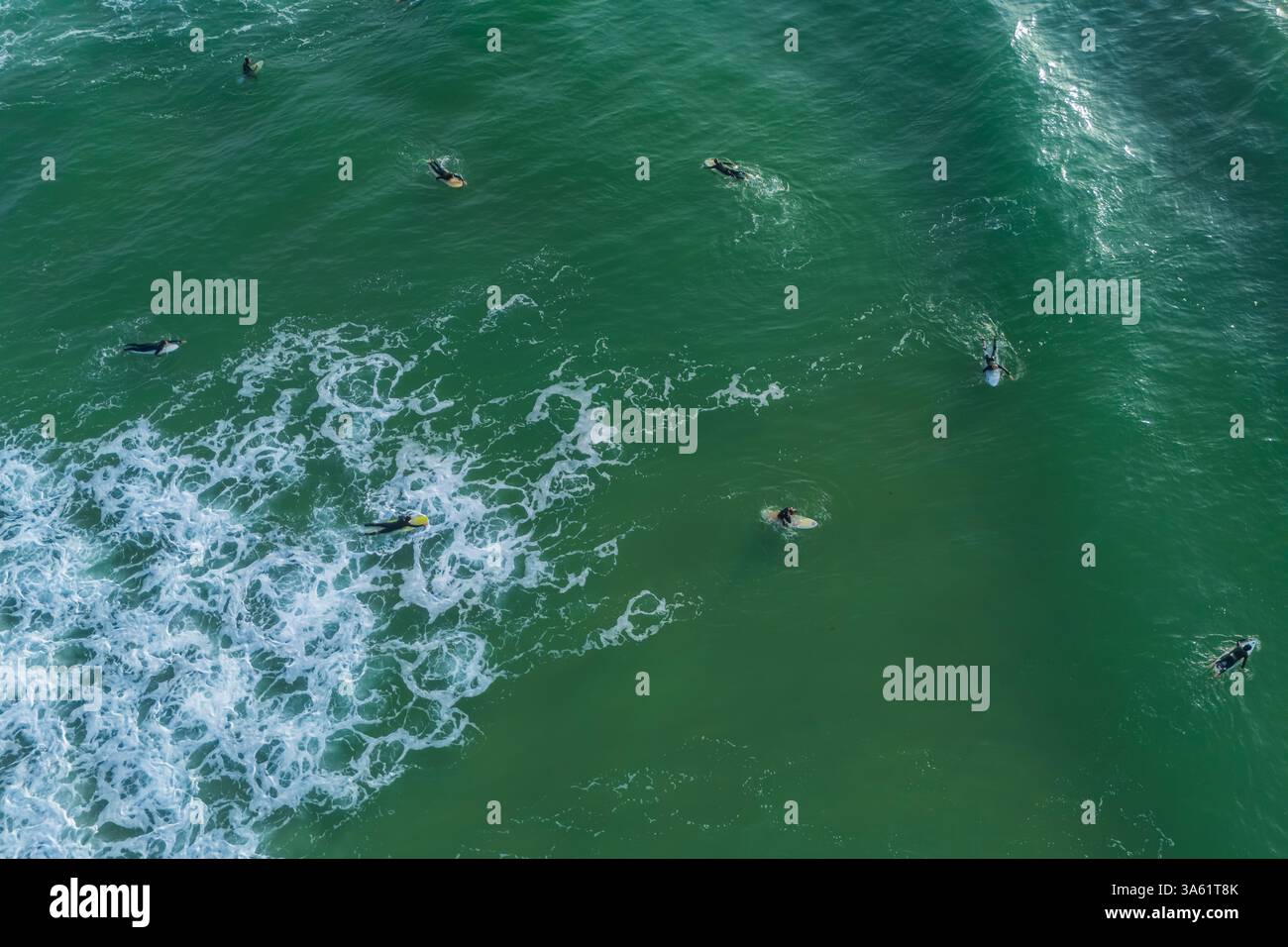 Aerial view of surfers in the water waiting for the right wave in ...