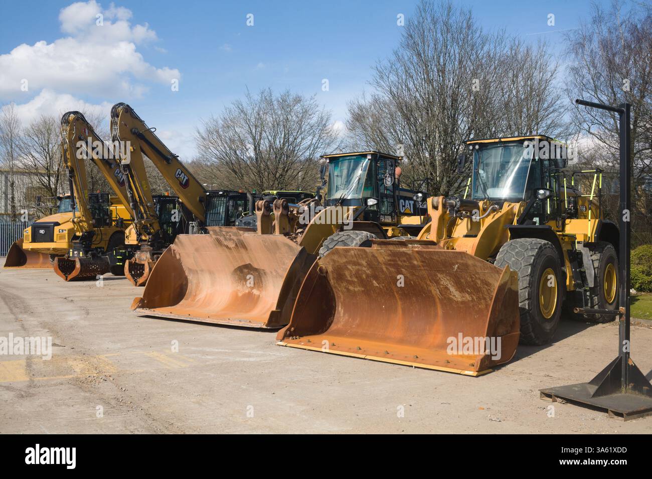 Finning cat uk hi-res stock photography and images - Alamy