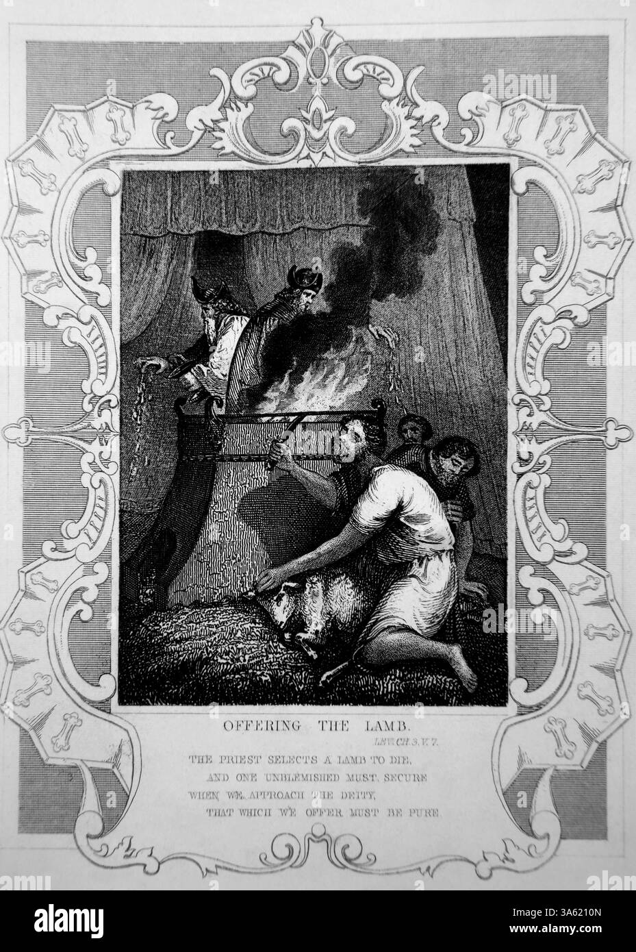 Israelite bringing a Peace Offering to the High Priest - Offering of ...