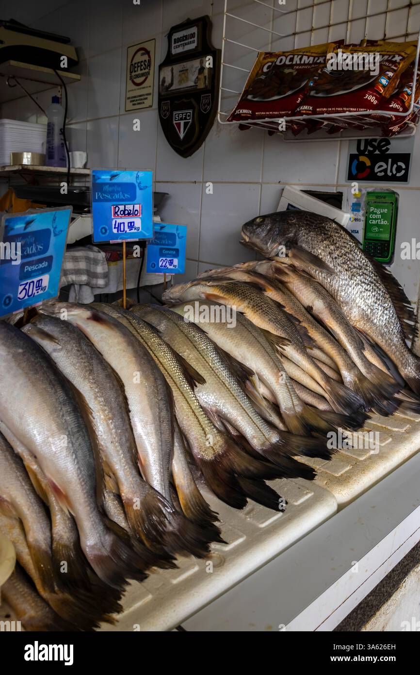 Peruibe, Sao Paulo, Brazil. January 17, 2025., Brazil. Fresh seafood ...