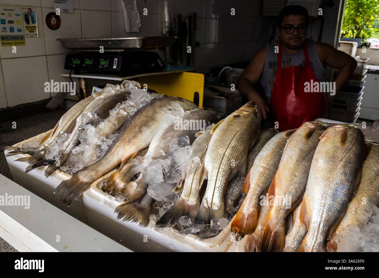 Peruibe, Sao Paulo, Brazil. January 17, 2025., Brazil. Fresh seafood ...