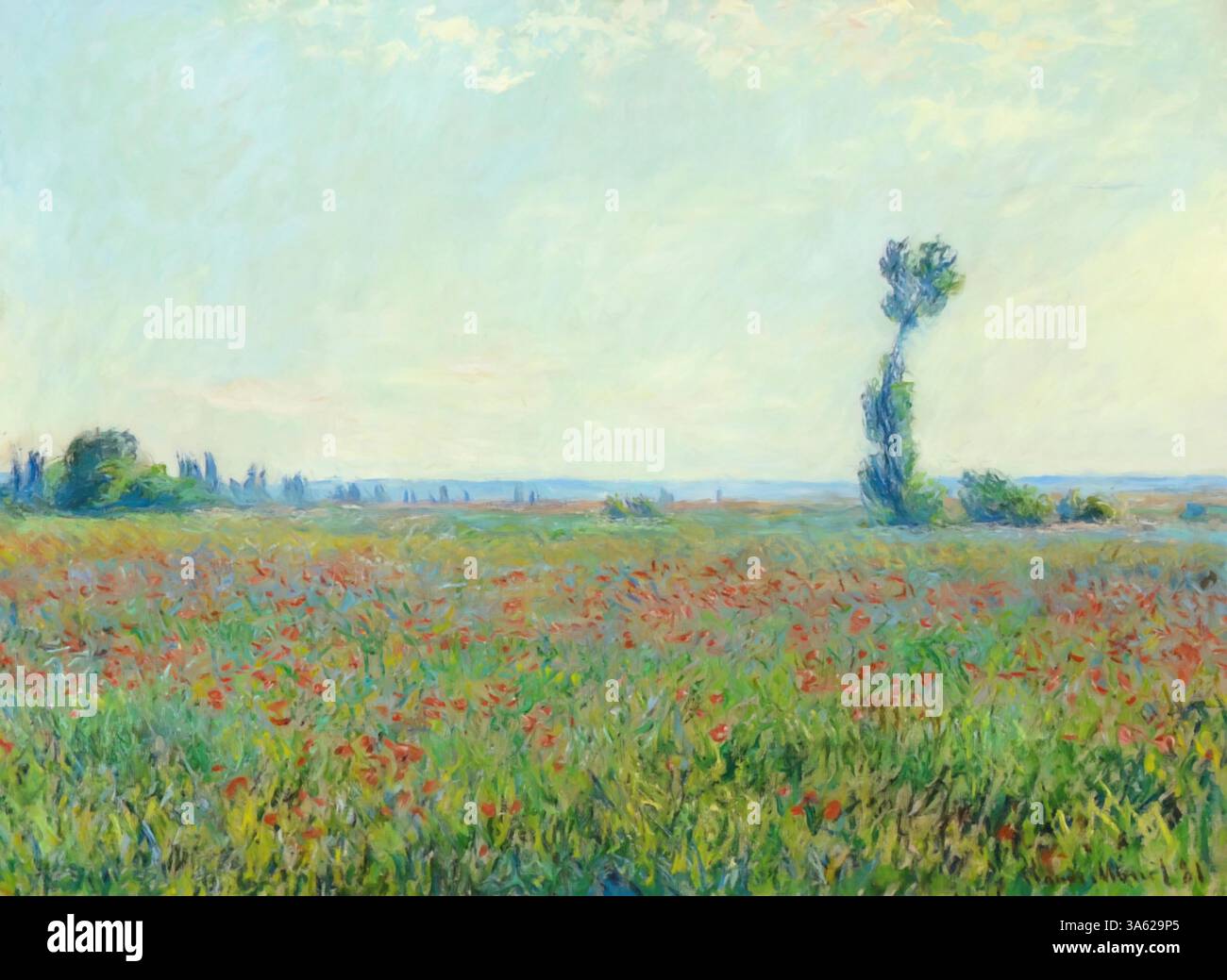 Poppy field, 1881 (Painting) by Monet, Claude (1840-1926) French Stock ...