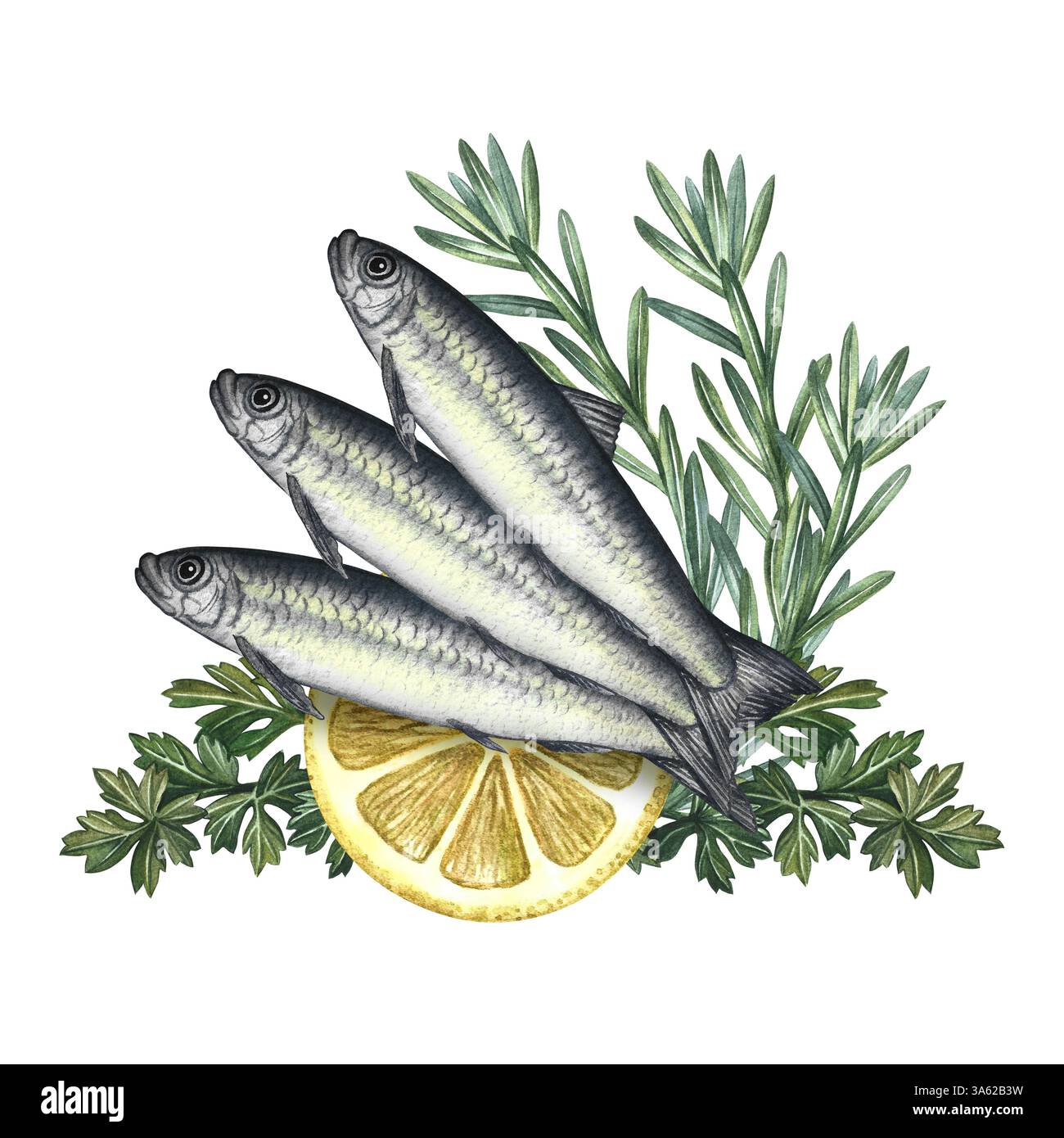 Sardines with herbs and lemons. A hand-drawn watercolor illustration. A ...