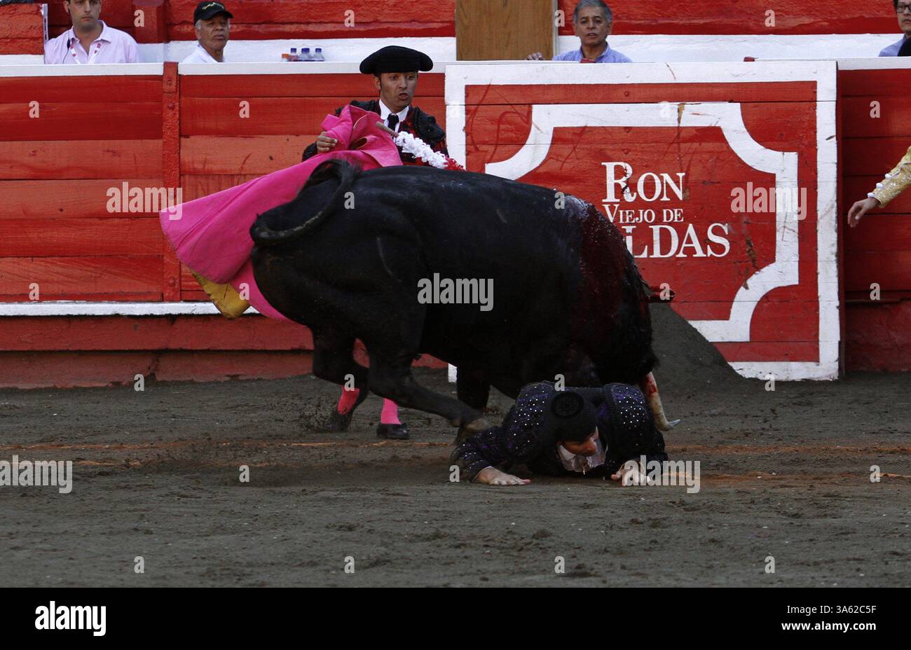 El viejo toro hi-res stock photography and images - Alamy