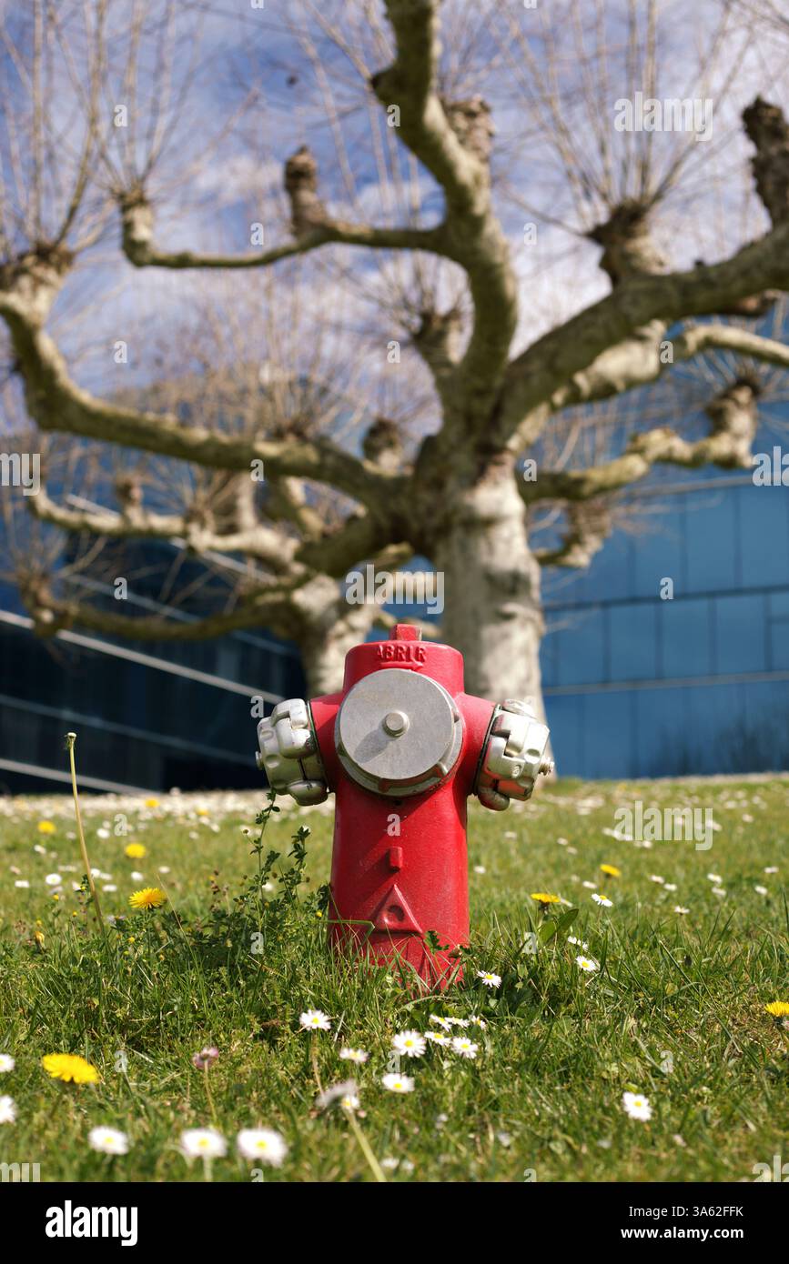 A red fire hydrant on a green lawn with blooming flowers, against a ...