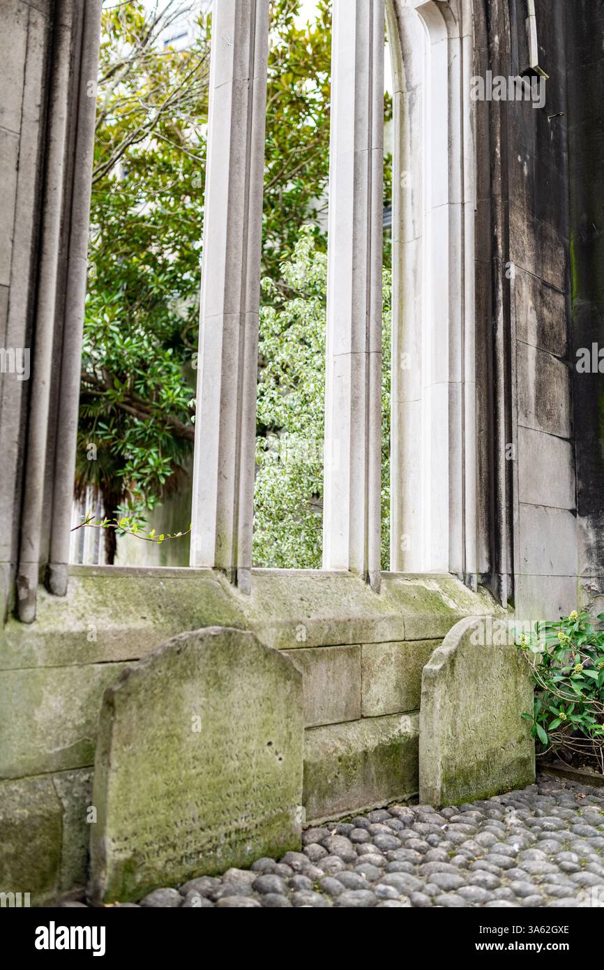 The old windows covered with moss in the ruins of St Dunstan in the ...