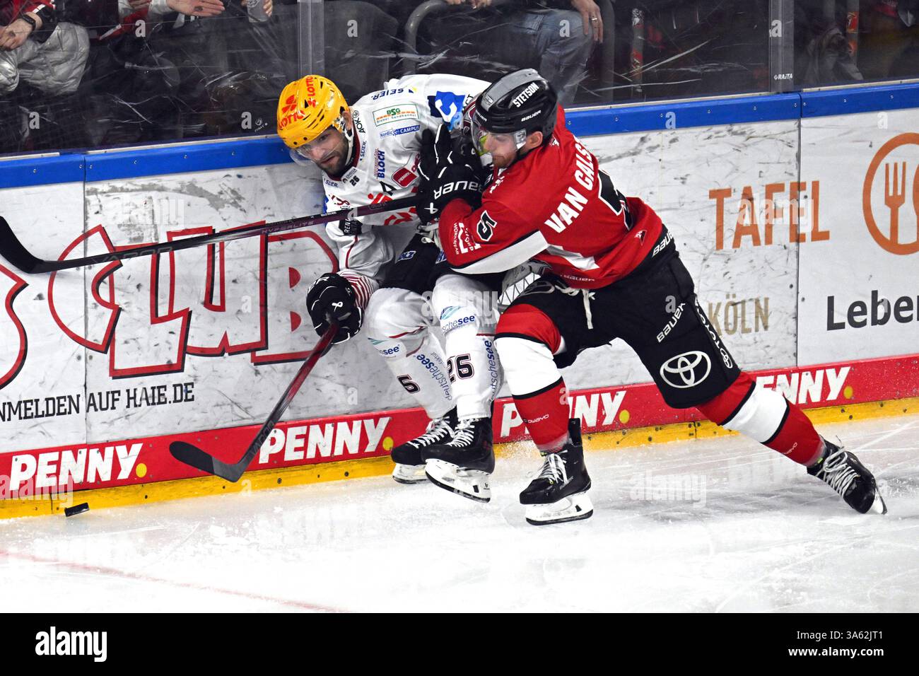 Cologne, Germany. 24th Mar, 2025. Ice hockey: DEL, Kölner Haie ...