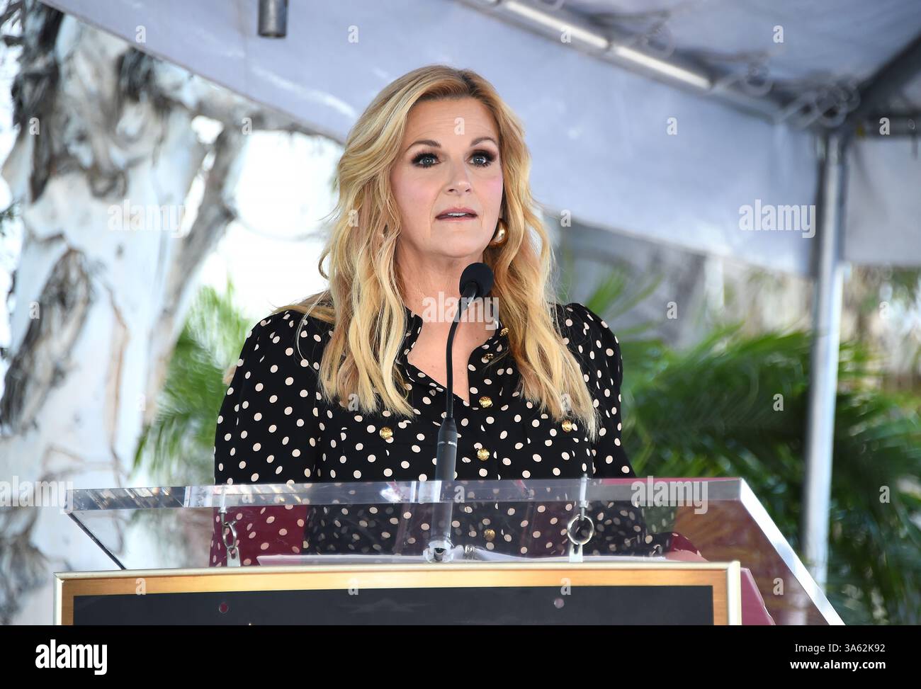 Hollywood, USA. 24th Mar, 2025. Trisha Yearwood at Trisha Yearwood's ...
