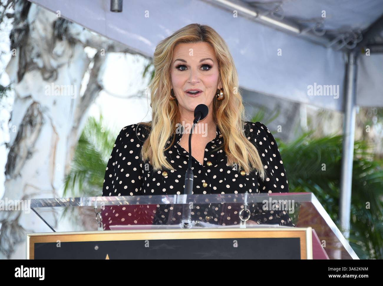 Hollywood, USA. 24th Mar, 2025. Trisha Yearwood at Trisha Yearwood's ...