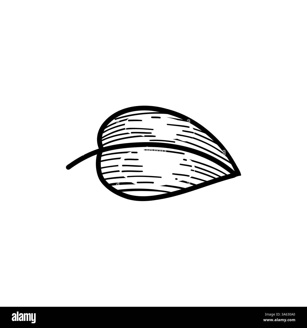 Minimalist leaf outline with detailed texture, perfect for botanical ...