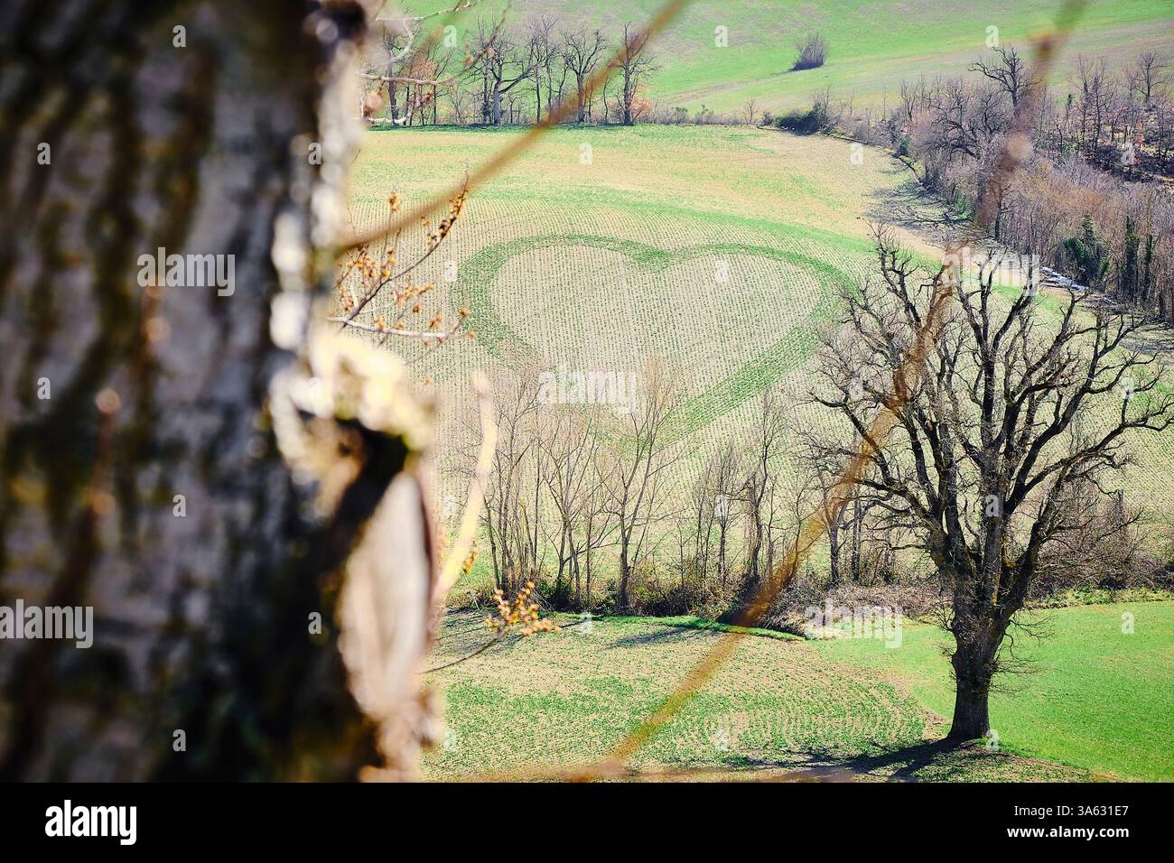 A tractor carves a heart into the fertile hillside, a symbol of love ...