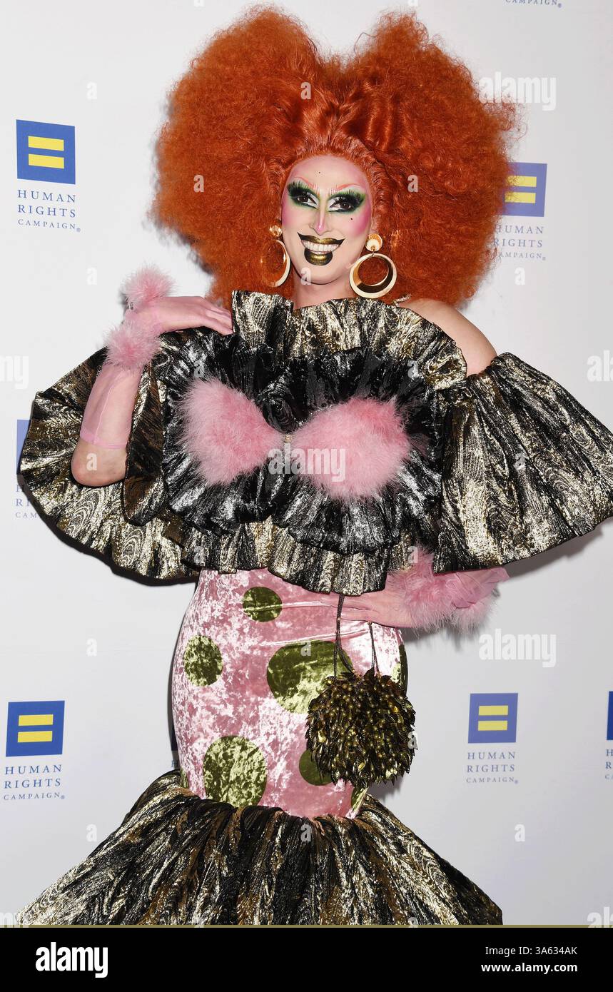 LOS ANGELES, CALIFORNIA - MARCH 22: Crystal Methyd attends the Human ...