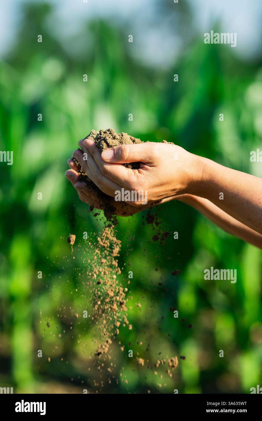 Soil in Farmers hand. Soil testing before planting. Healthy soil for ...