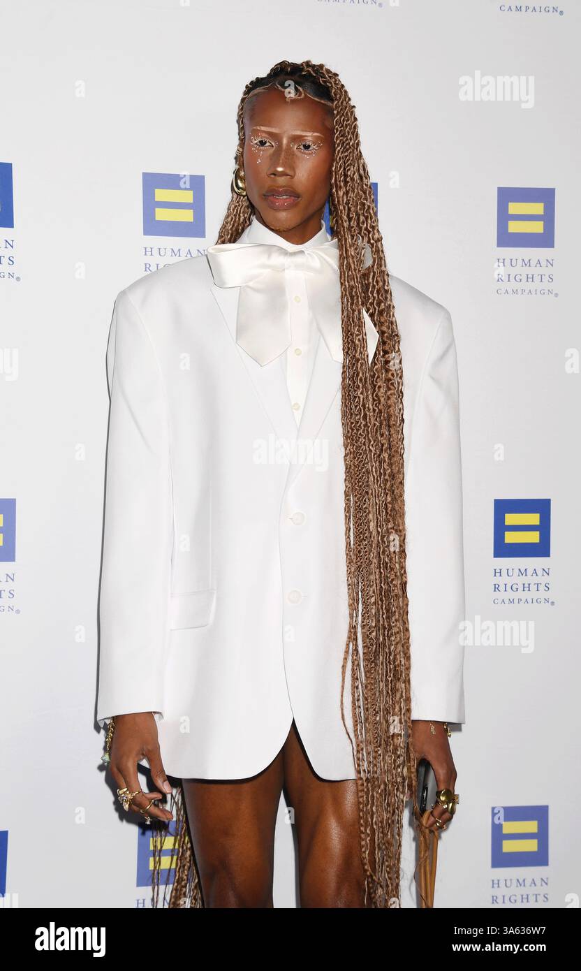 LOS ANGELES, CALIFORNIA - MARCH 22: Adrian Patterson attends the Human ...