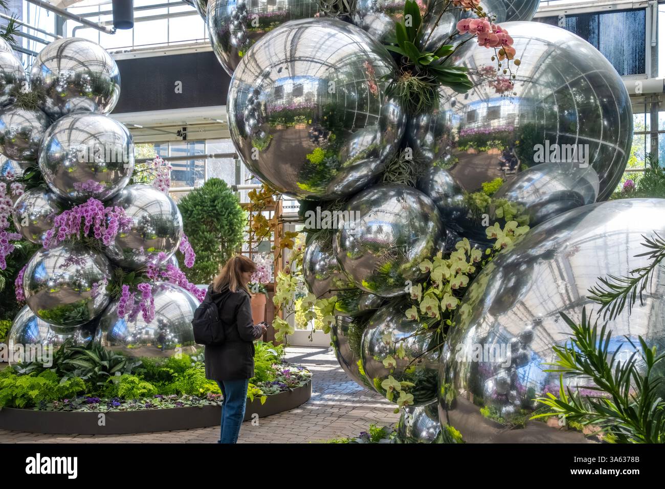 Atlanta botanical garden orchid exhibit hi-res stock photography and ...