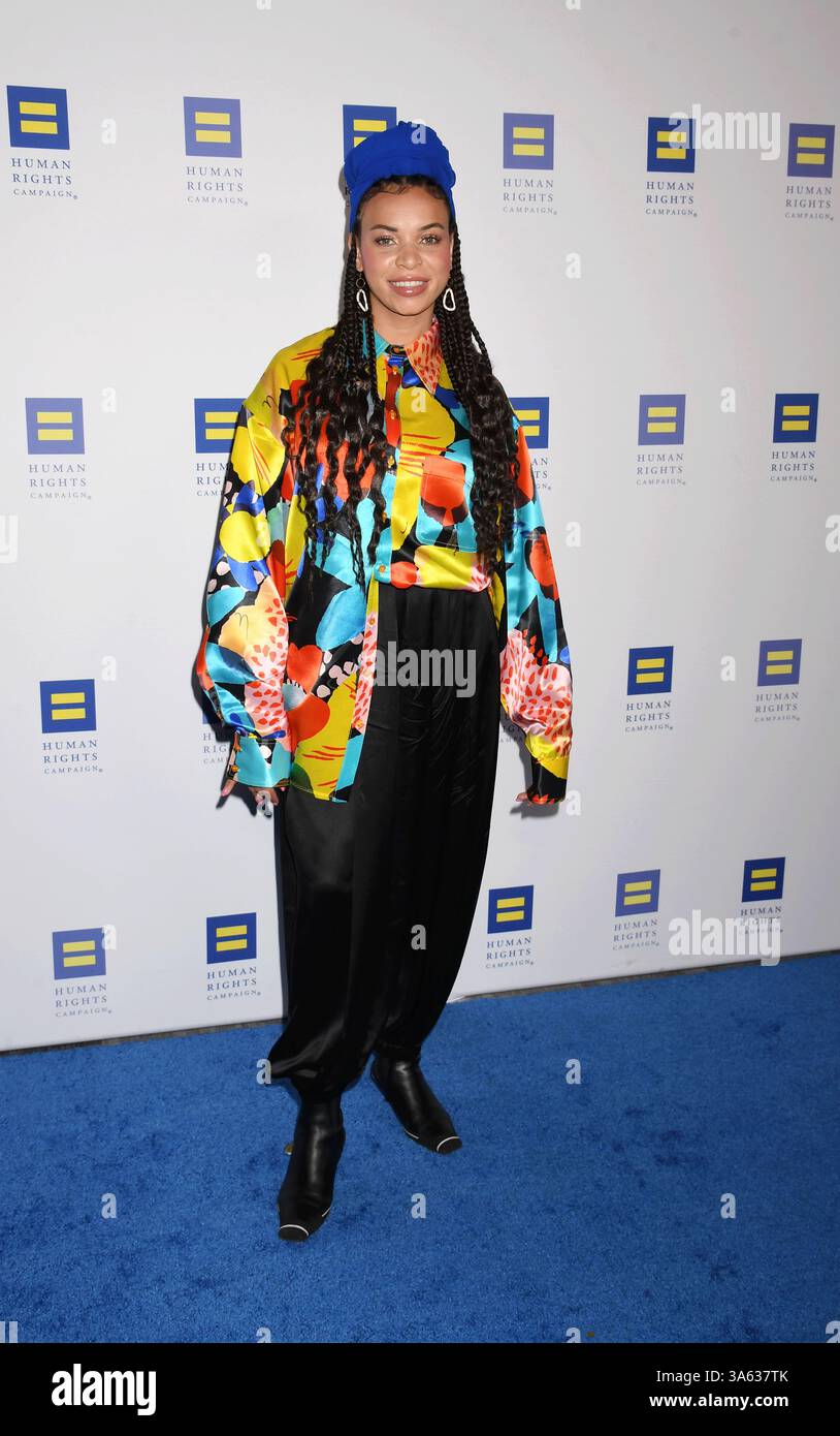 LOS ANGELES, CALIFORNIA - MARCH 22: Blair Imani attends the Human ...
