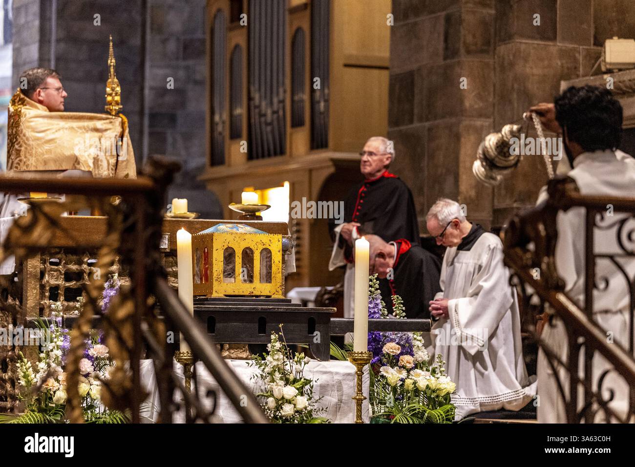 KERKRADE - The relics of St. Thomas Aquinas in Rolduc Abbey Church. The ...