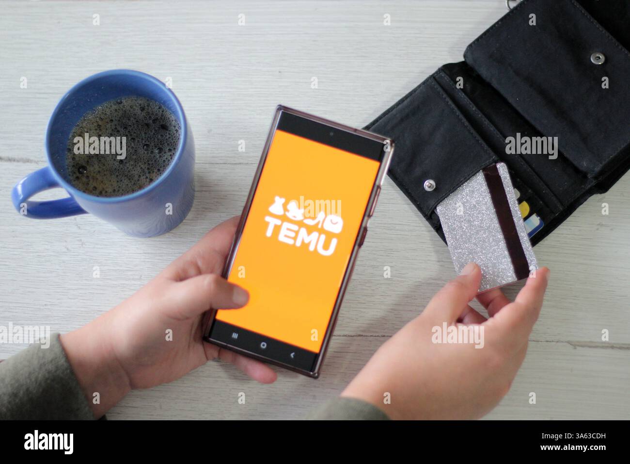 Mexico City, Mexico - Feb 22, 2025: Temu is an online e-commerce ...