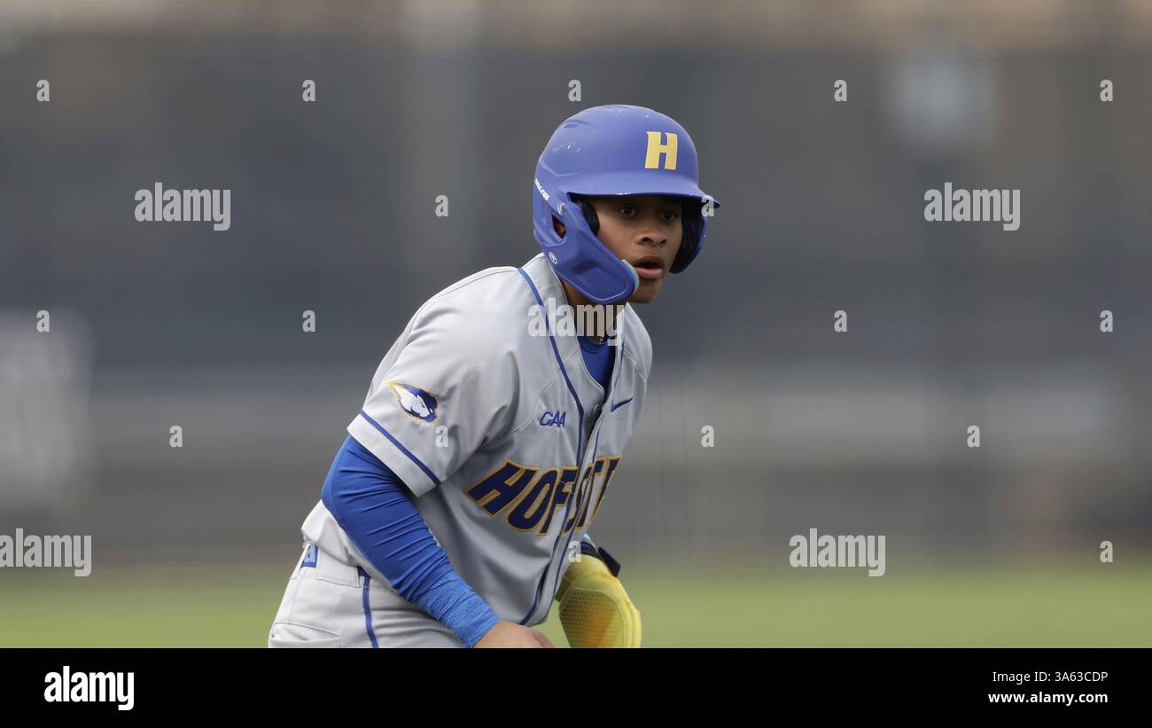 Hofstra's Dylan Palmer during an NCAA baseball game against Fairleigh ...