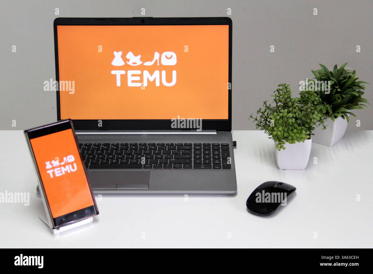 Mexico City, Mexico - Feb 22, 2025: Temu is an online e-commerce ...