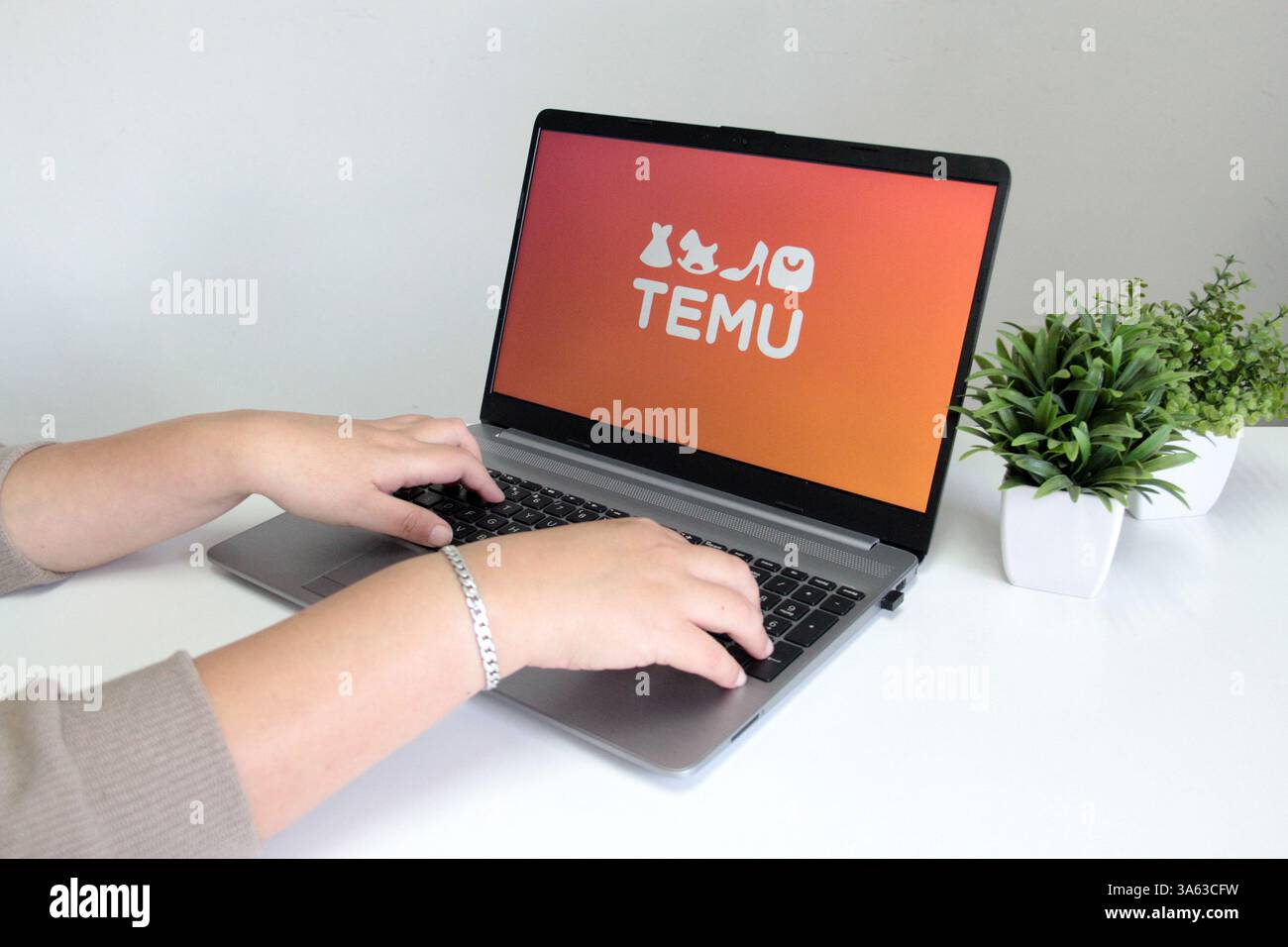 Mexico City, Mexico - Feb 22, 2025: Temu is an online e-commerce ...