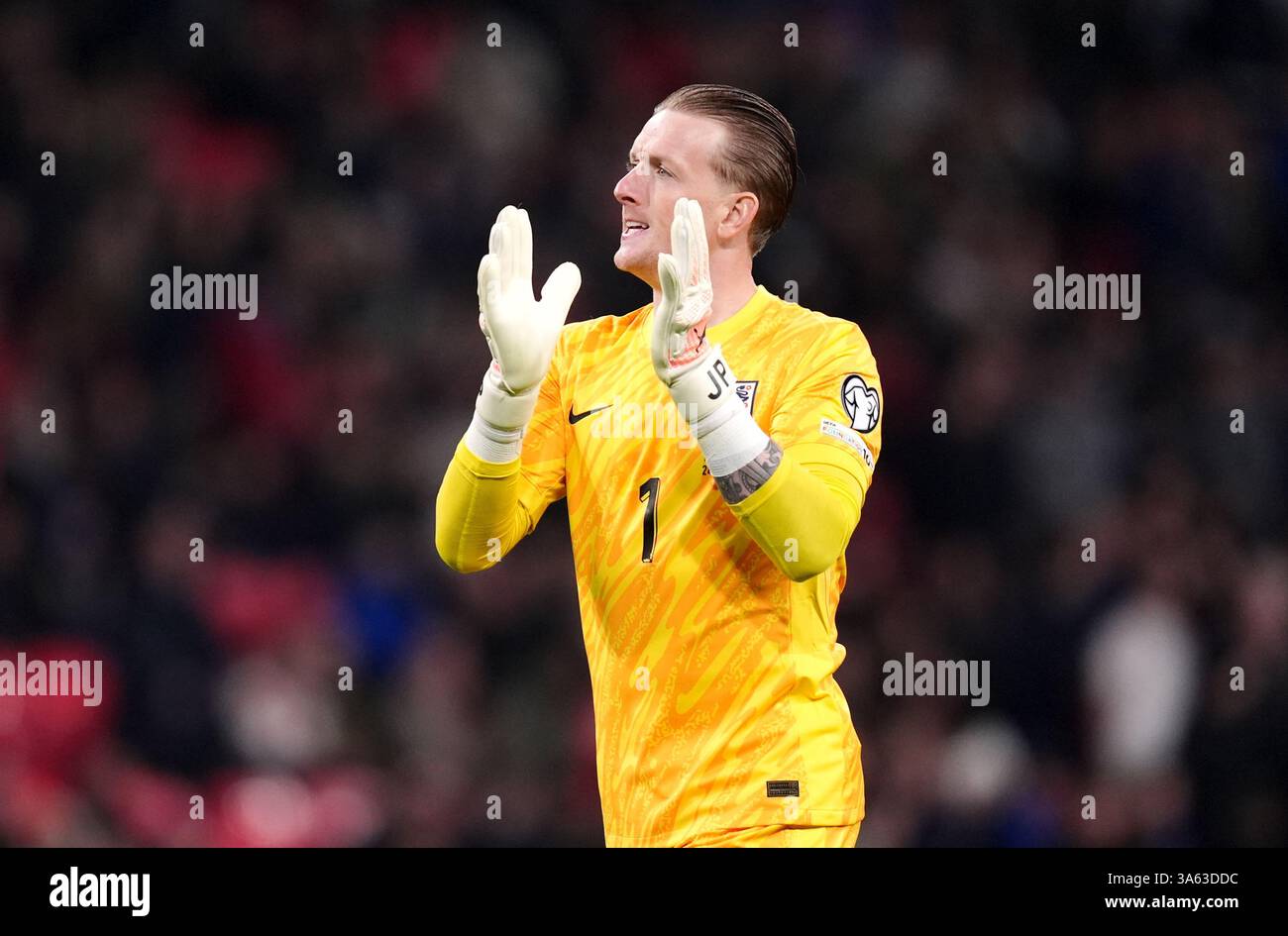England goalkeeper Jordan Pickford applauds the fans at half-time ...