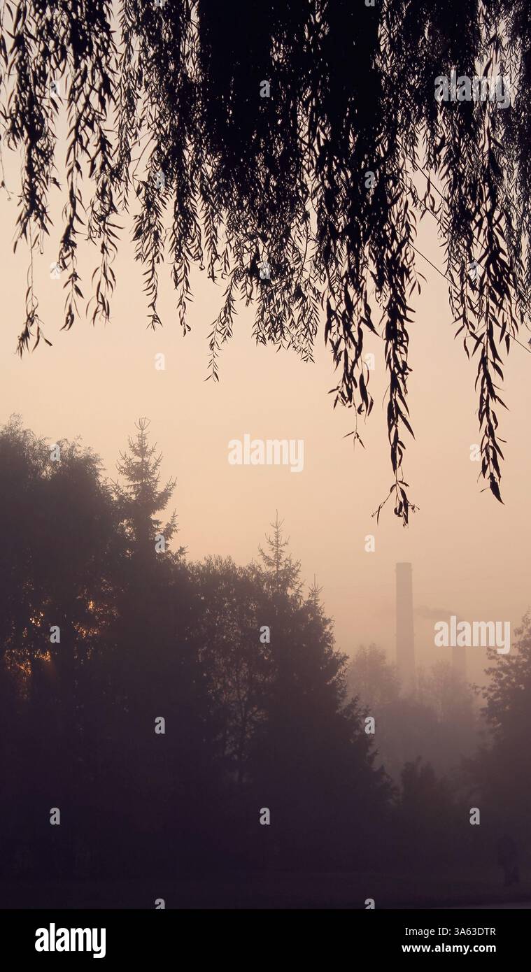Smog, pollution, factory emitting smoke in a city, vertical background ...