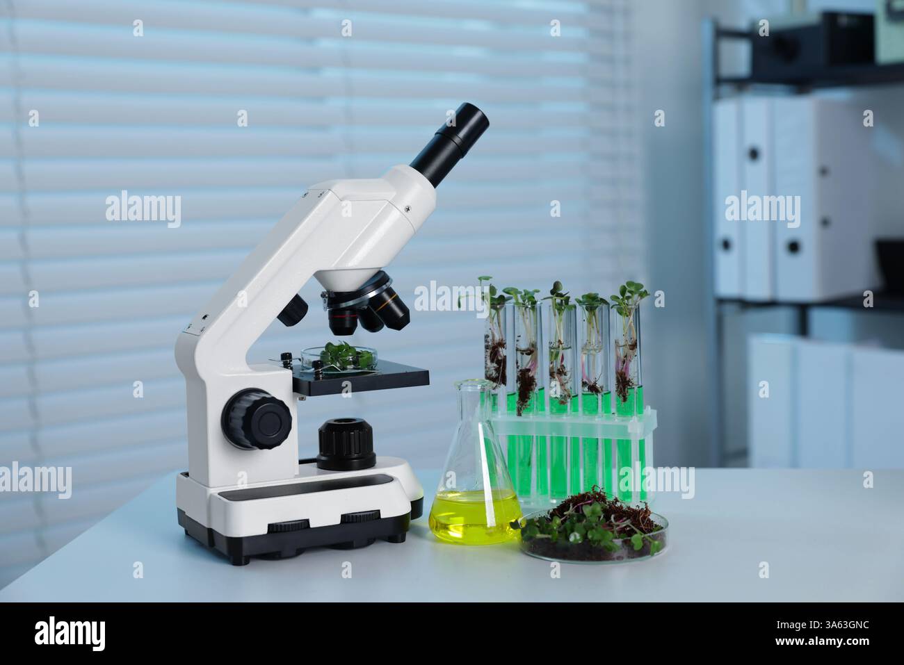 Biochemistry. Microscope, glassware with liquids and plants on white ...