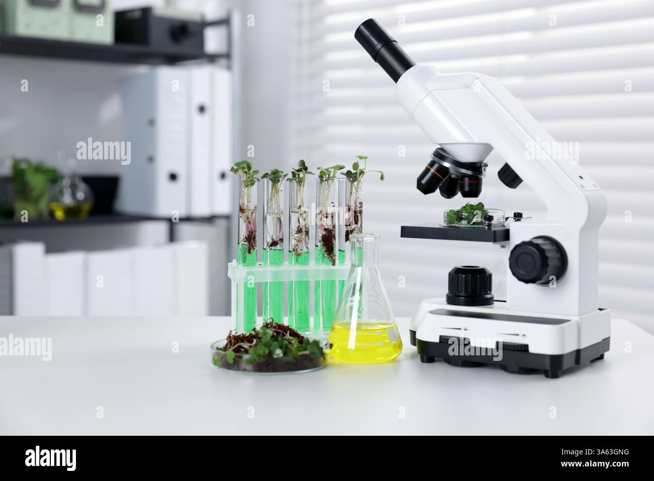 Biochemistry. Microscope, glassware with liquids and plants on white ...