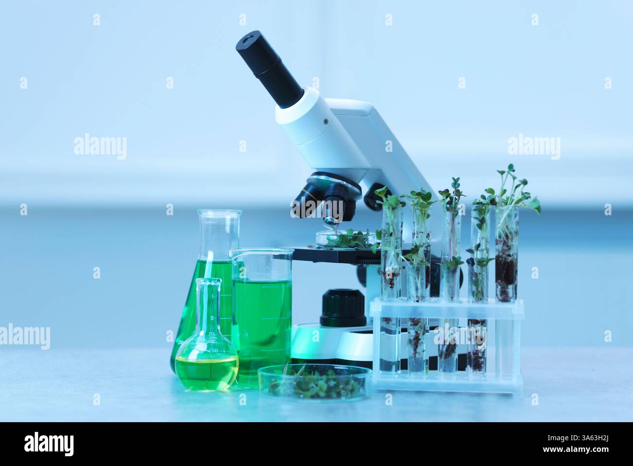 Biochemistry. Glassware with different liquids, plants and microscope ...