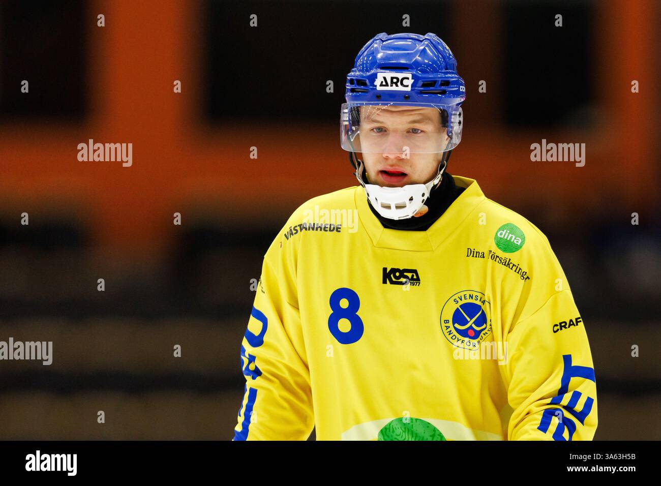 Ludvig Johansson of, Sweden. , . during the FIB 2025 Bandy World ...
