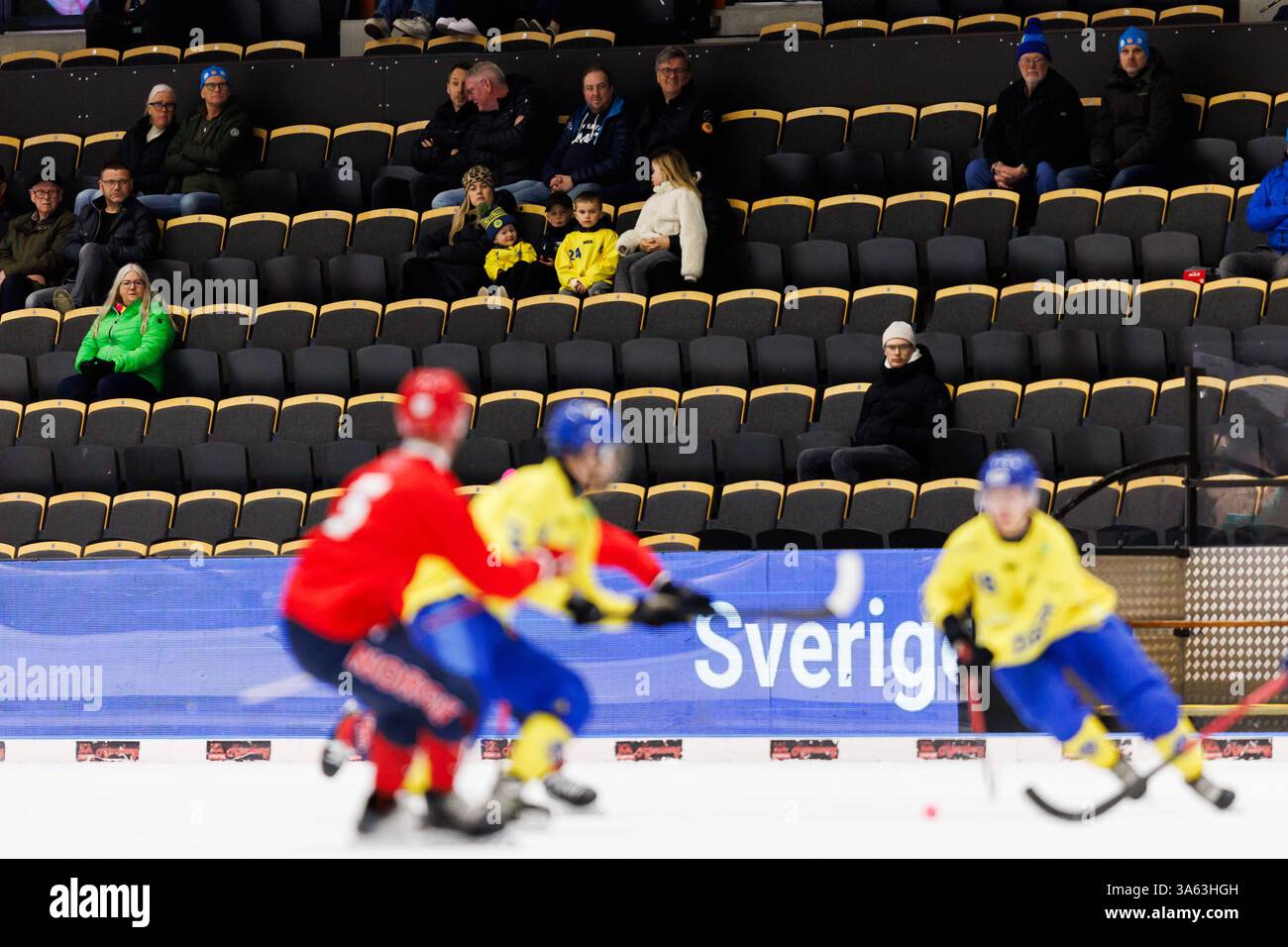 Spectators in the stands during the FIB 2025 Bandy World Championship ...