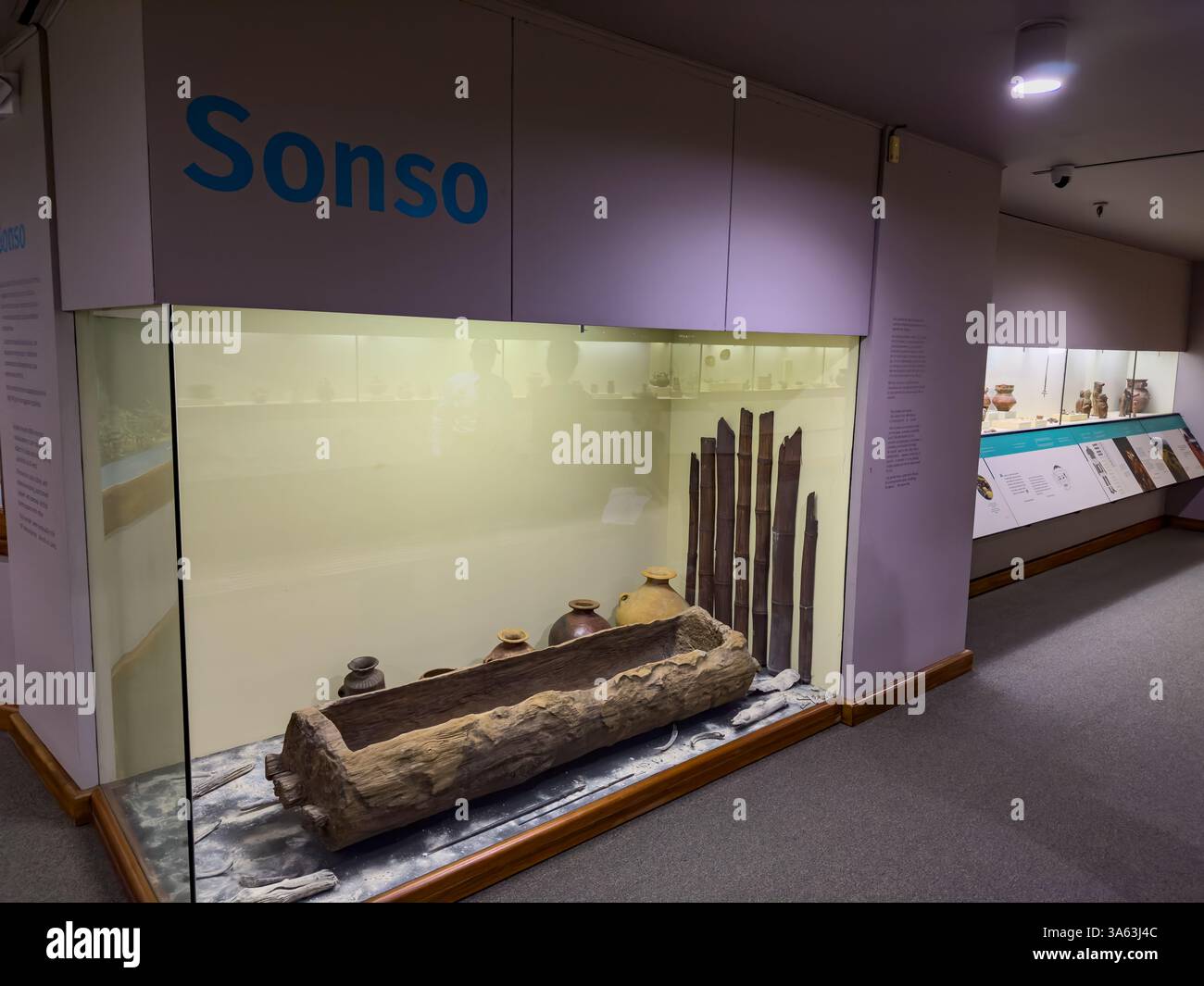 A dugout log canoe from the Pre-Hispanic indigenous Sonso Culture in ...