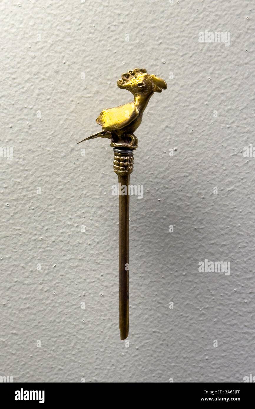 Gold bird pin representing a curasow from the Pre-Hispanic indigenous ...