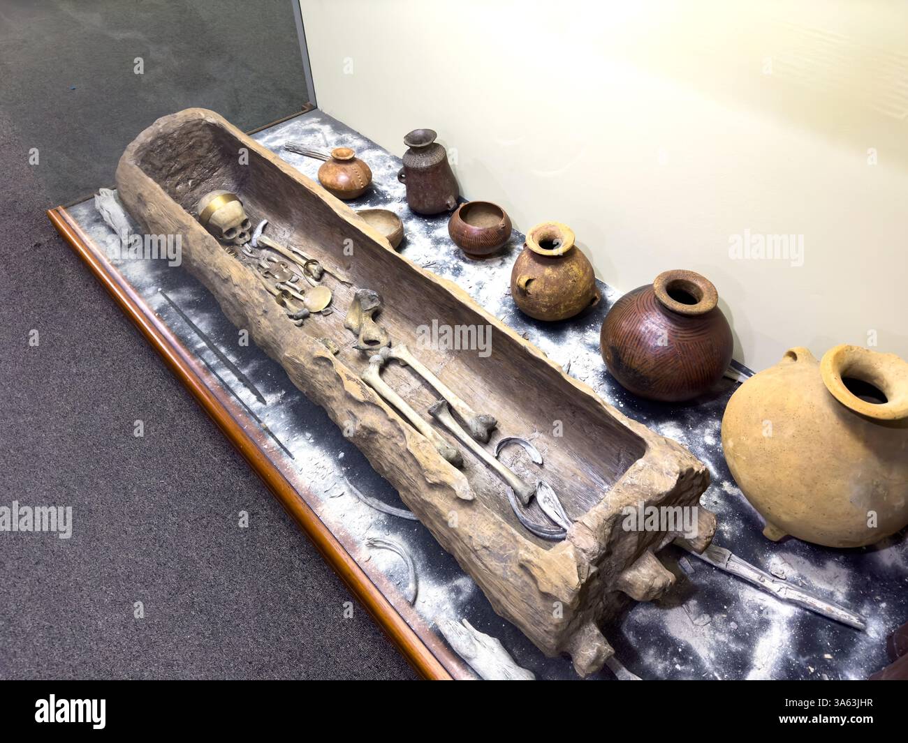 A dugout log canoe with bones from the Pre-Hispanic indigenous Sonso ...