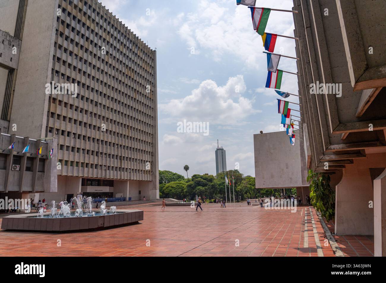 Flags on a City of Santiago de Cali office building in Cali, Colombia ...