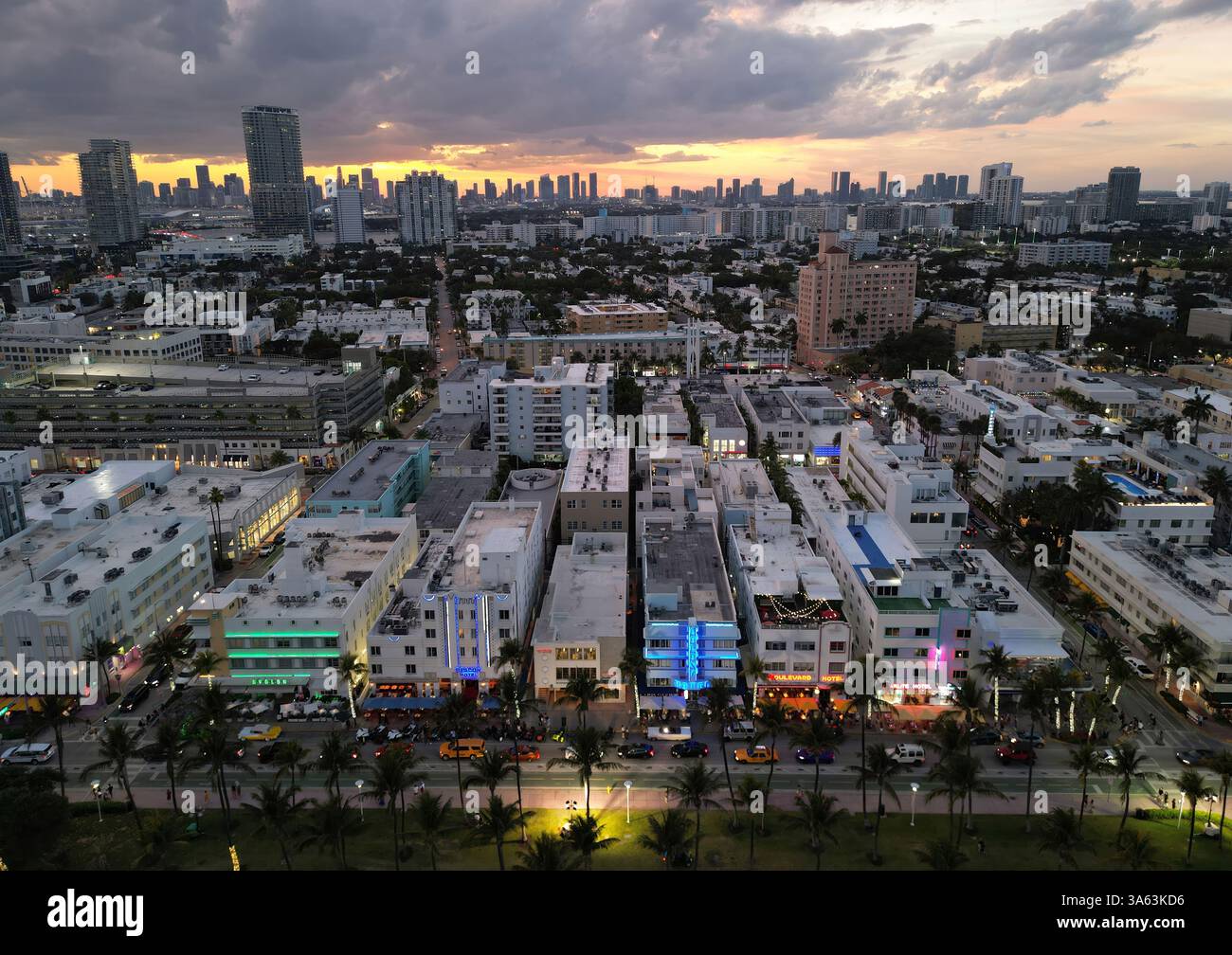 Cityscape of downtown Miami at night light. Tropical paradise in South ...