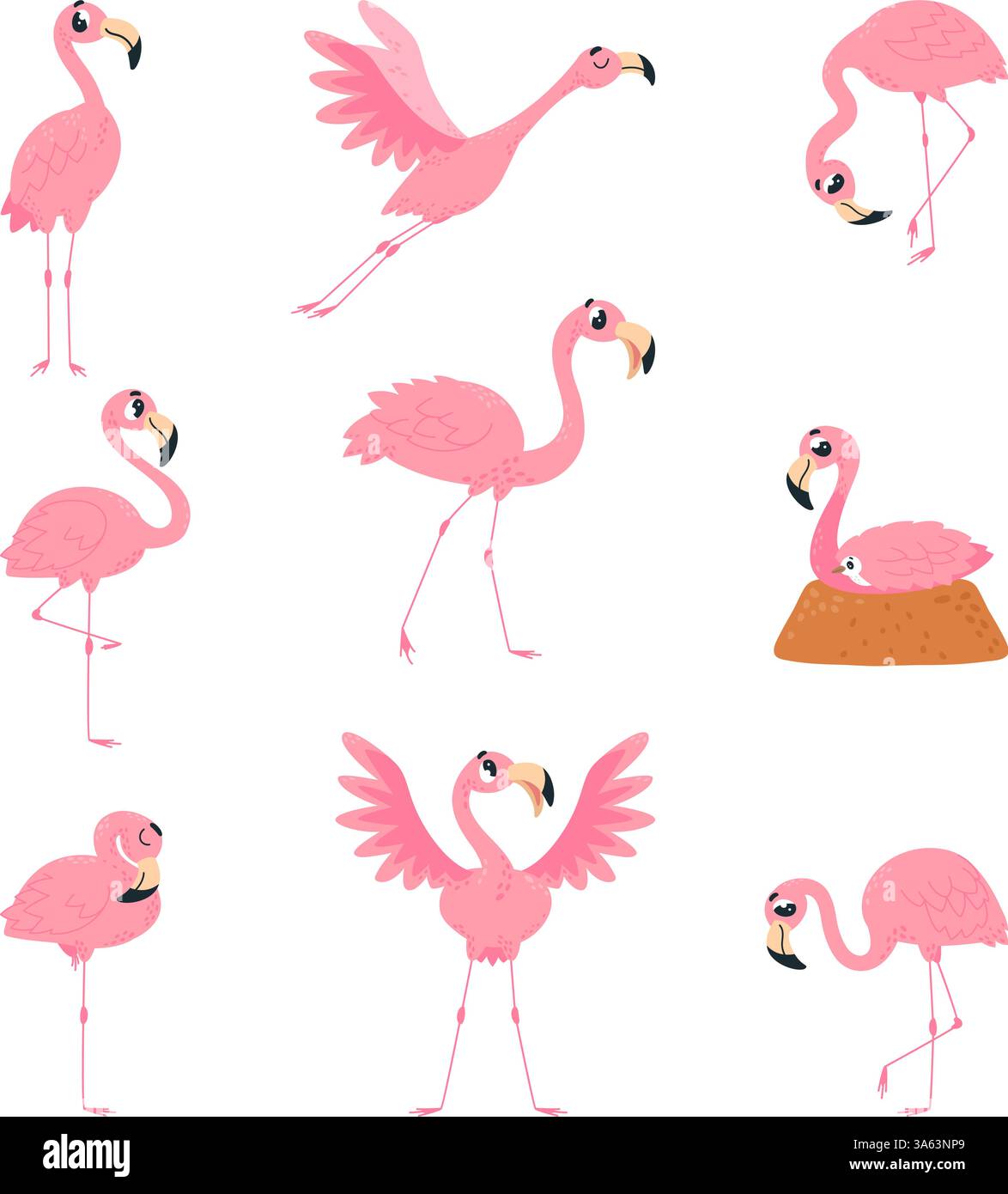 Cartoon flamingo. Pink flamingos birds, isolated tropical animals ...