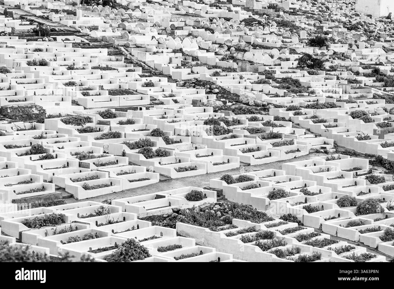 Islamic cemetery, Tetouan, Morocco, North Africa Stock Photo - Alamy