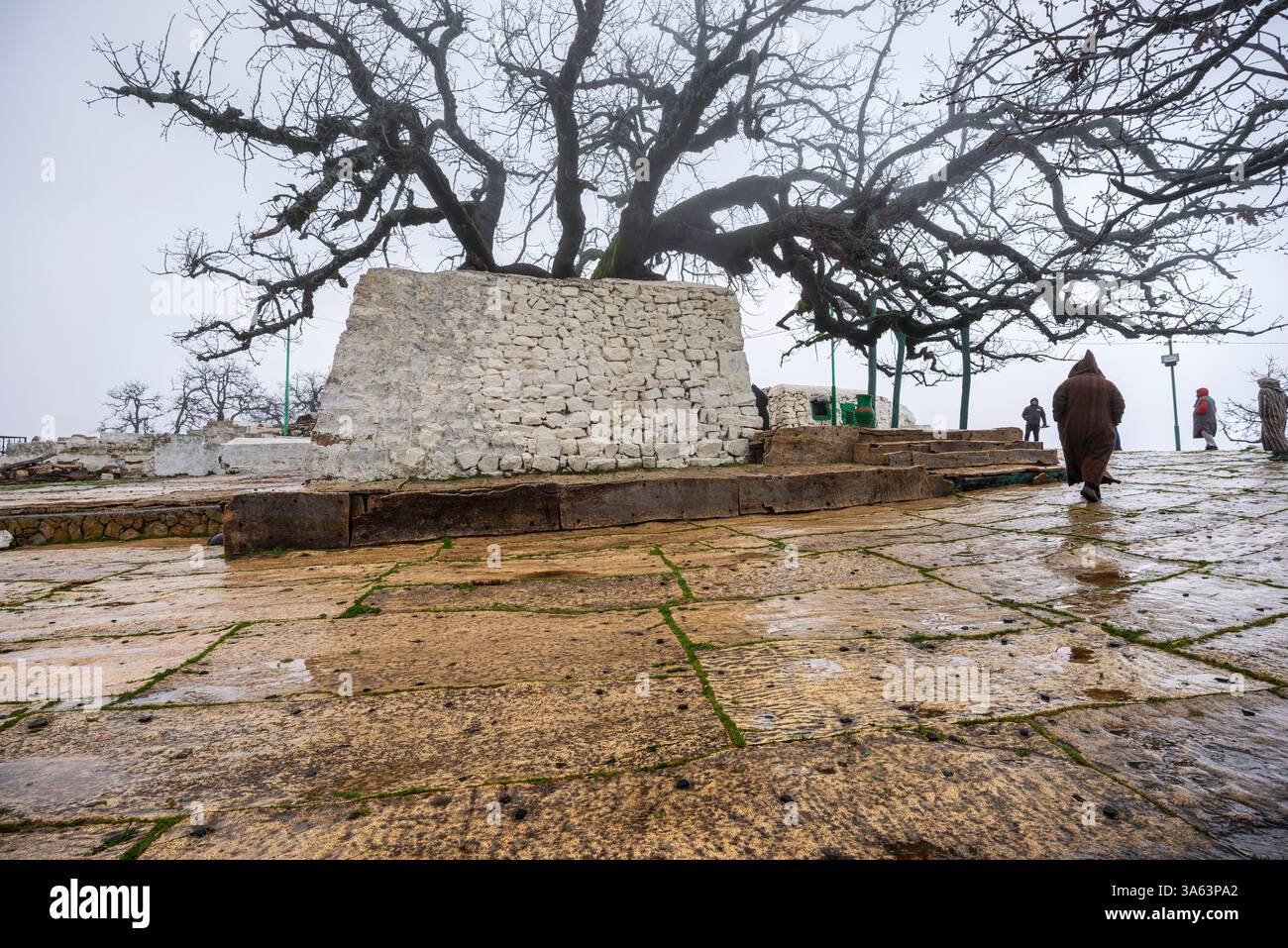 Tomb and shrine of Moulay Abdeslam ben Mchich, Moroccan Sufi saint ...