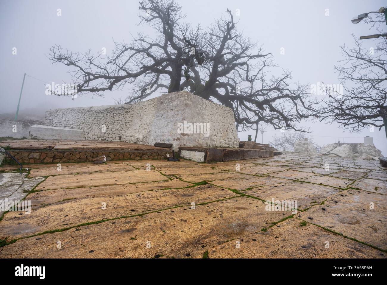 Tomb and shrine of Moulay Abdeslam ben Mchich, Moroccan Sufi saint ...